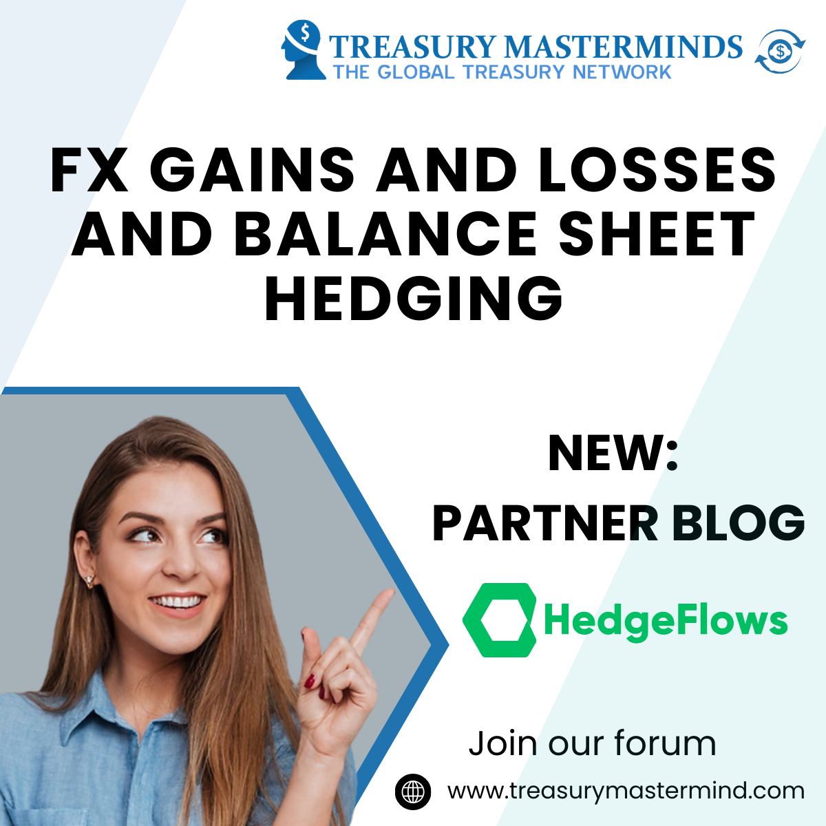FX Gains and Losses and Balance Sheet Hedging - Treasurymasterminds ...
