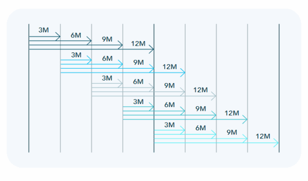 A comprehensive guide to different hedging programs. - Treasurymasterminds Community